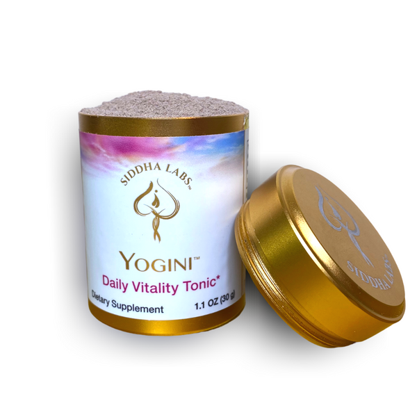 Yogini® Super Powder – Daily Vitality & Adaptogen Wellness | Siddha Labs